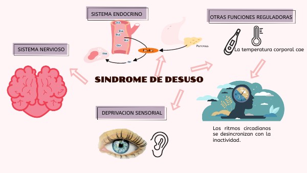 Síndrome de Desuso 3.
