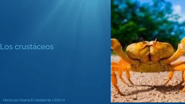 Crustaceos Pdf