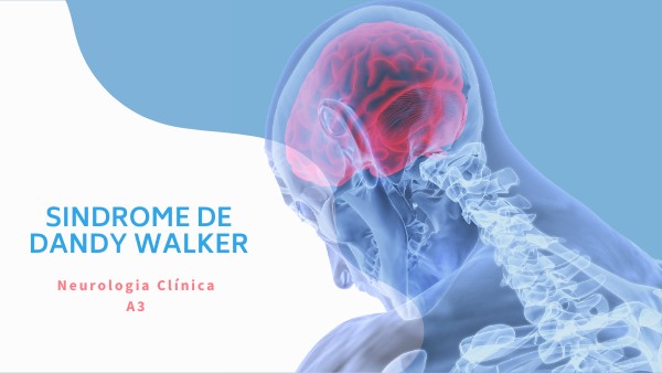 SINDROME DANDY WALKER