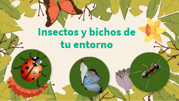 Insectos y bichos