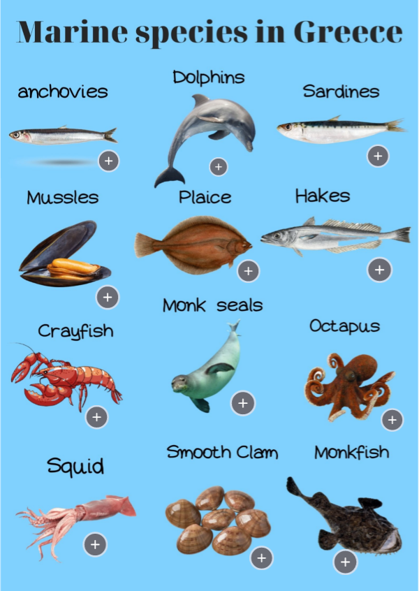 Marine species in Greece