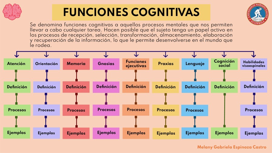 FUNCIONES COGNITIVAS-SEMANA 16