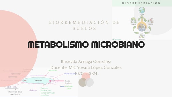 METABOLISMO AEROBIO