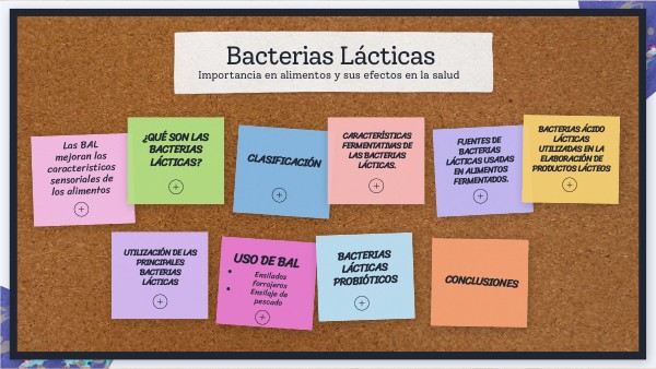 Bacterias Lácticas