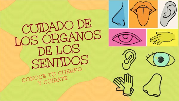 Cuidado de los sentidos