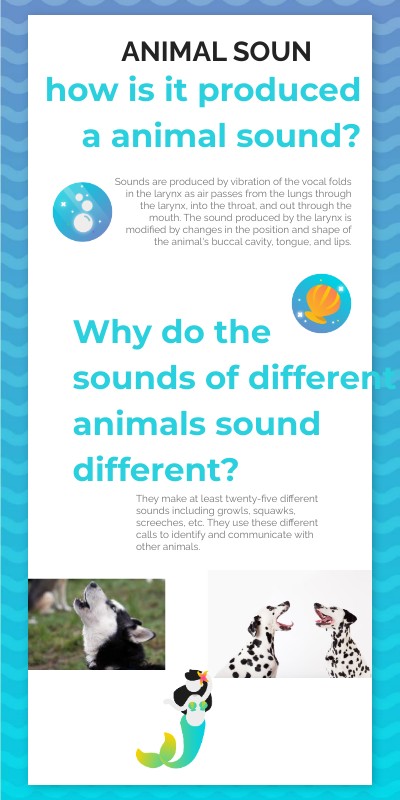 animals sound
