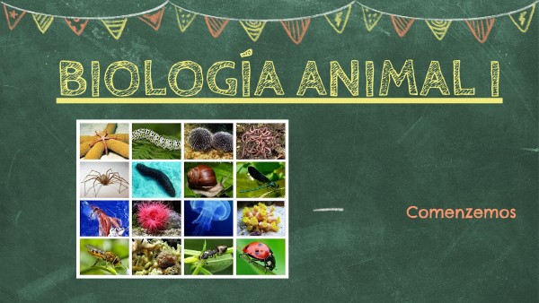 BIOLOGÍA ANIMAL I