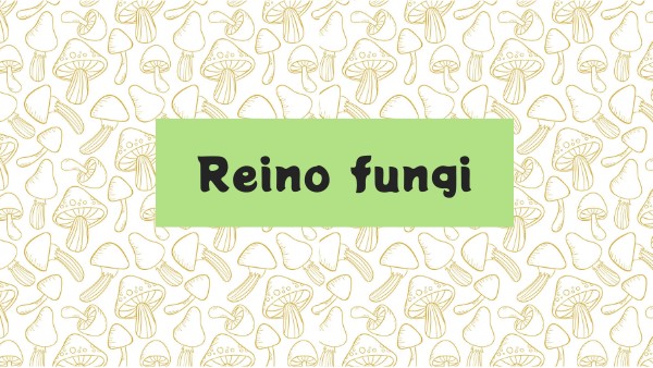 Reino fungi