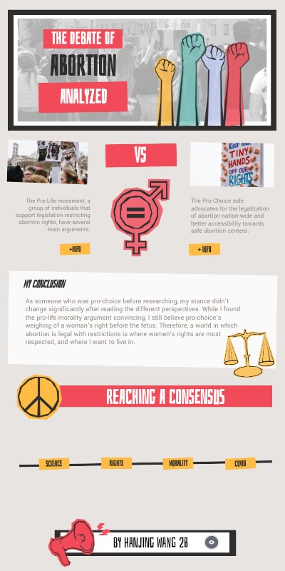 Abortion Infographic