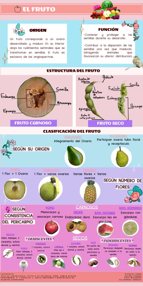 Infografía de Fruto