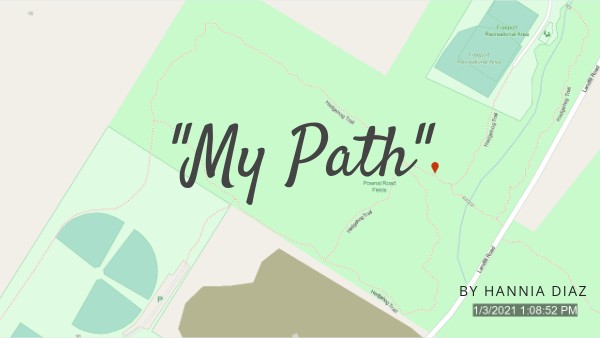 PATH GUIDE