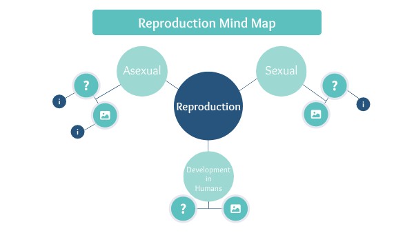 Reproduction Mind Map