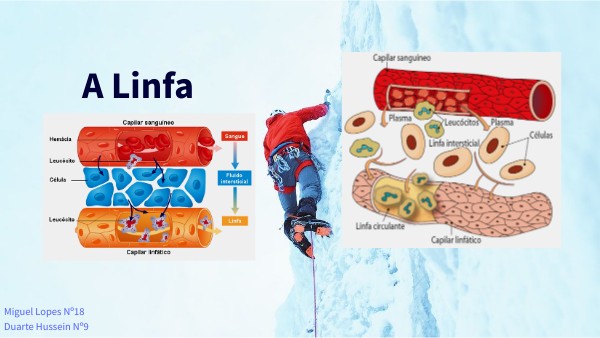 A Linfa