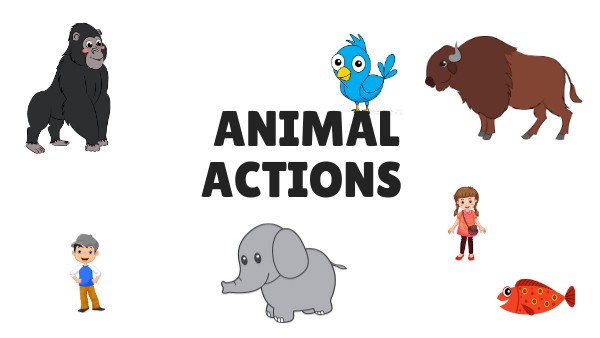 Animal Actions
