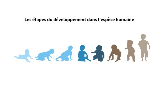 6 Étapes De Développement – Les Étapes De Développement Enfant – CTMLAE