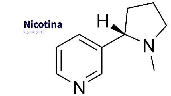 Nicotina