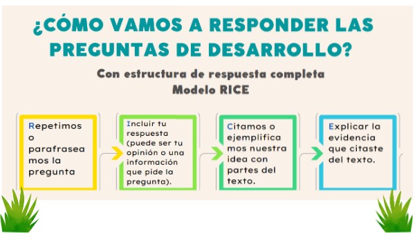 Copia - Repaso unidad 0- RICE