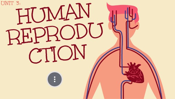 human reproduction