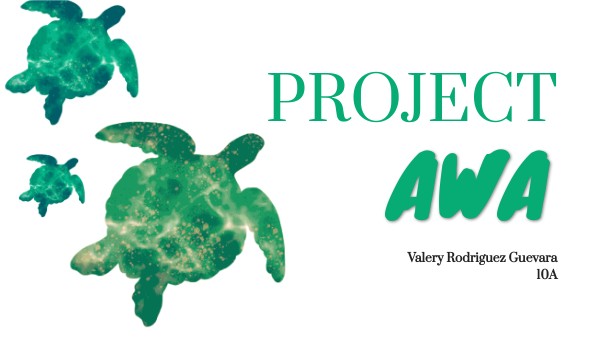 PROJECT AWA