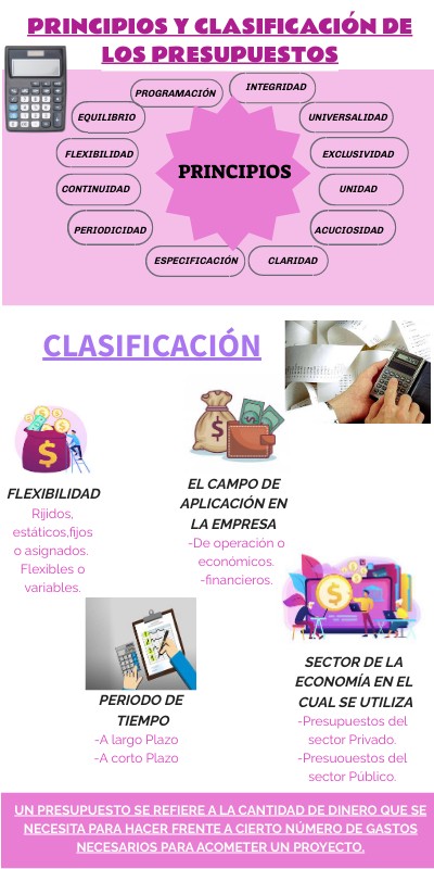 PRINCIPIOS Y CLASIFICACION DE LOS PRESUPUESTOS
