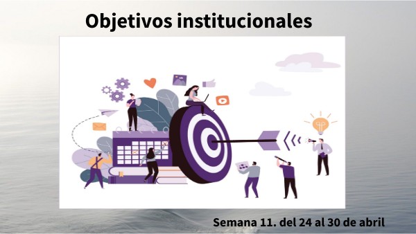 Objetivos institucionales