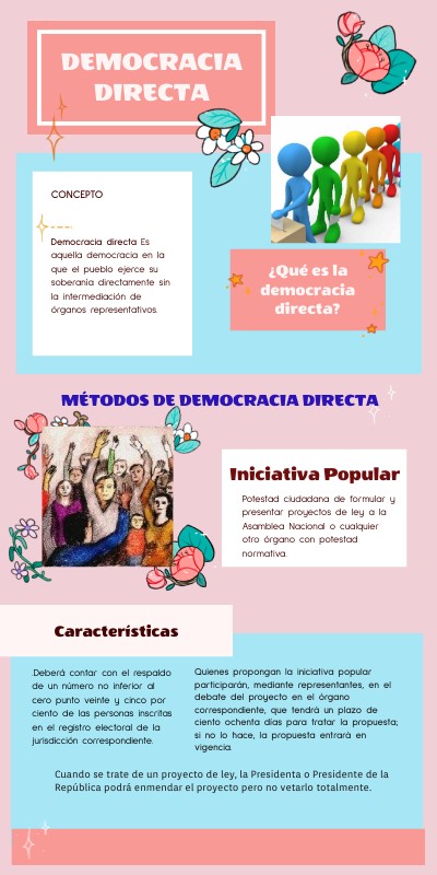 MECANISMO DE DEMOCRACIA DIRECTA