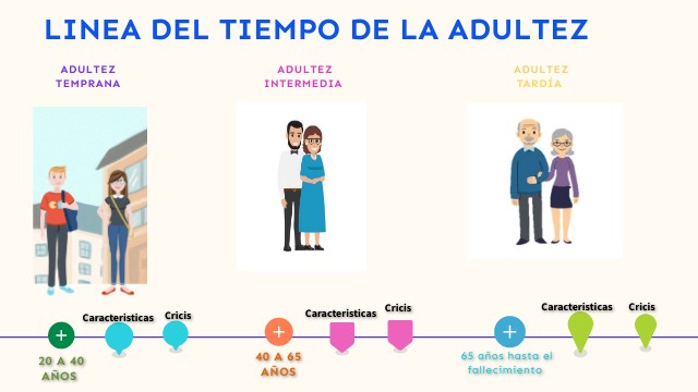 Línea de tiempo de la adultez