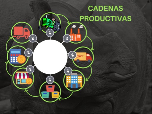 CADENAS PRODUCTIVAS