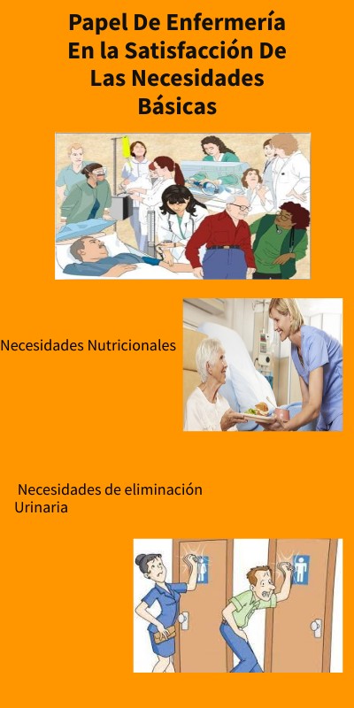 Papel De Enfermería En la Satisfacción De Las Necesidades Básicas