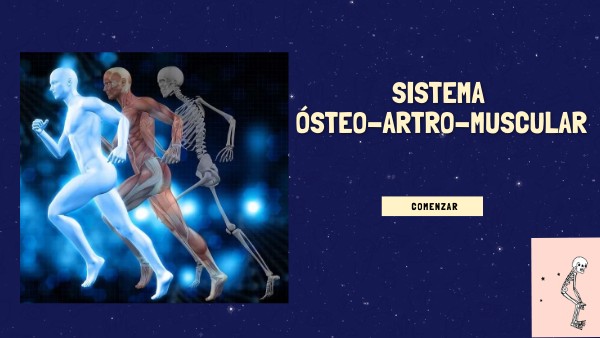 Sistema ósteo-artro-muscular