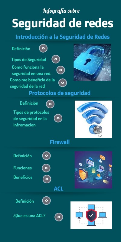 Infografía Seguridad de redes