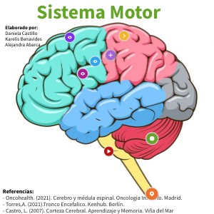 Sistema Motor