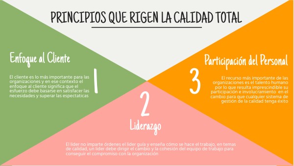 PRINCIPIOS QUE RIGEN LA CALIDAD TOTAL