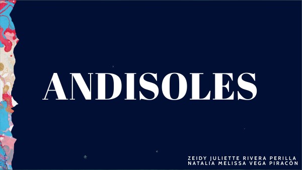 ANDISOLES