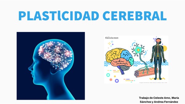 PLASTICIDAD CEREBRAL