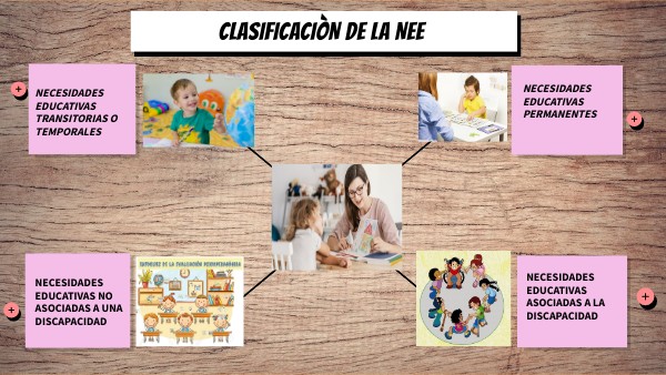 CLASIFICACIÒN DE LA NEE