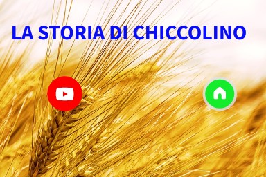 STORIA DI CHICCOLINO