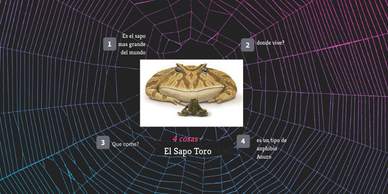 infografia del Sapo Toro
