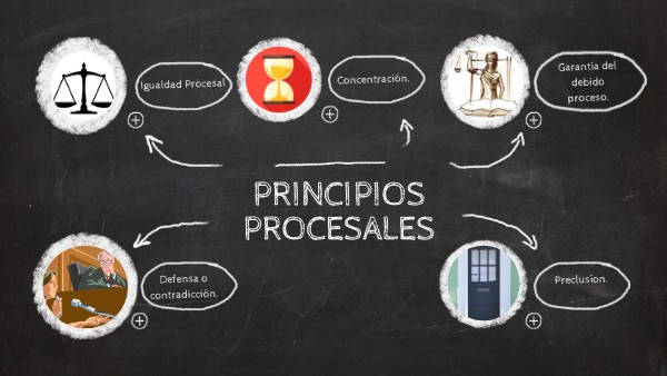 Principios procesales