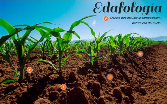 Edafología: suelos
