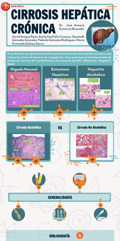 Histología De La Cirrosis Hepática Alcohólica