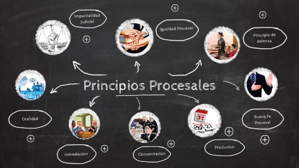 Principios Procesales