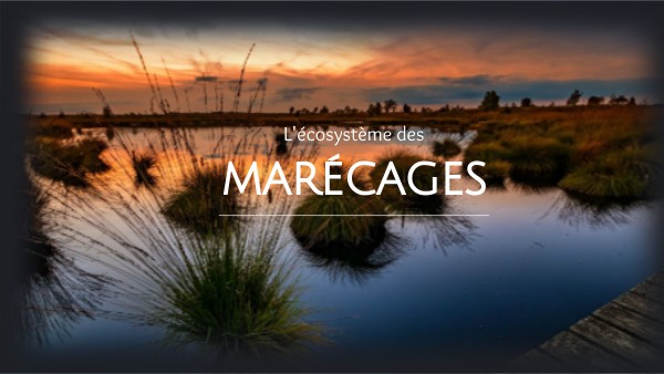 Marécages diapo