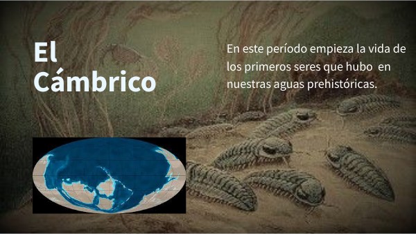 Cámbrico La Presentación