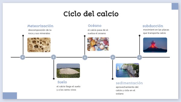 ciclo del calcio
