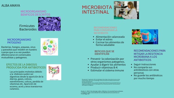 MICROBIOTA INTESTINAL