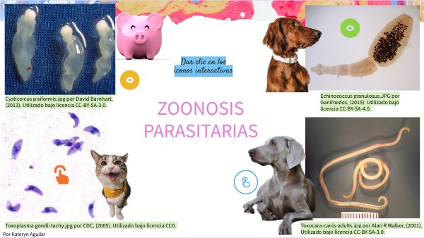 Zoonosis parasitarias