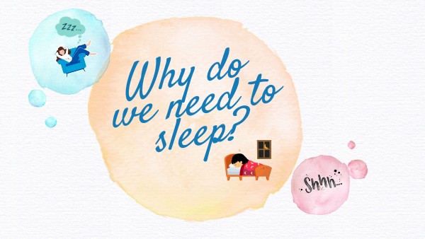 WHY DO WE NEED TO SLEEP?
