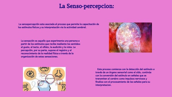 La senso-percepción