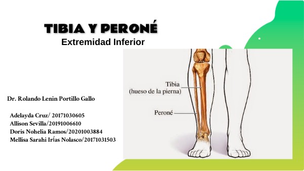 TIBIA Y PERONÉ